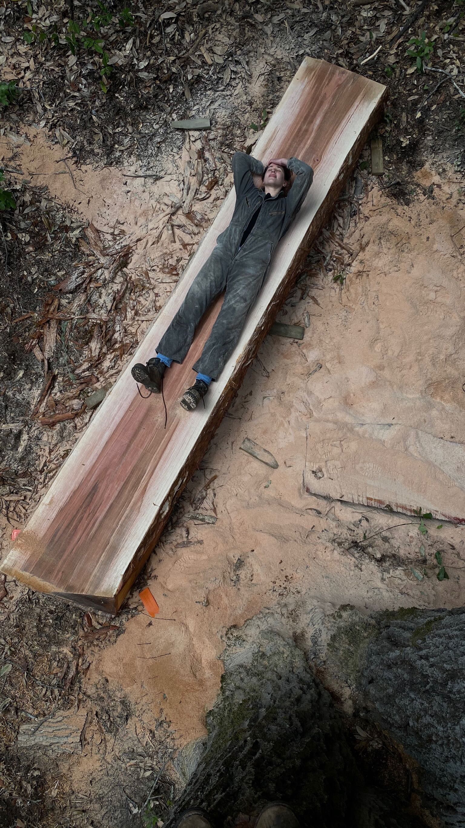 design | build – elevated spaces