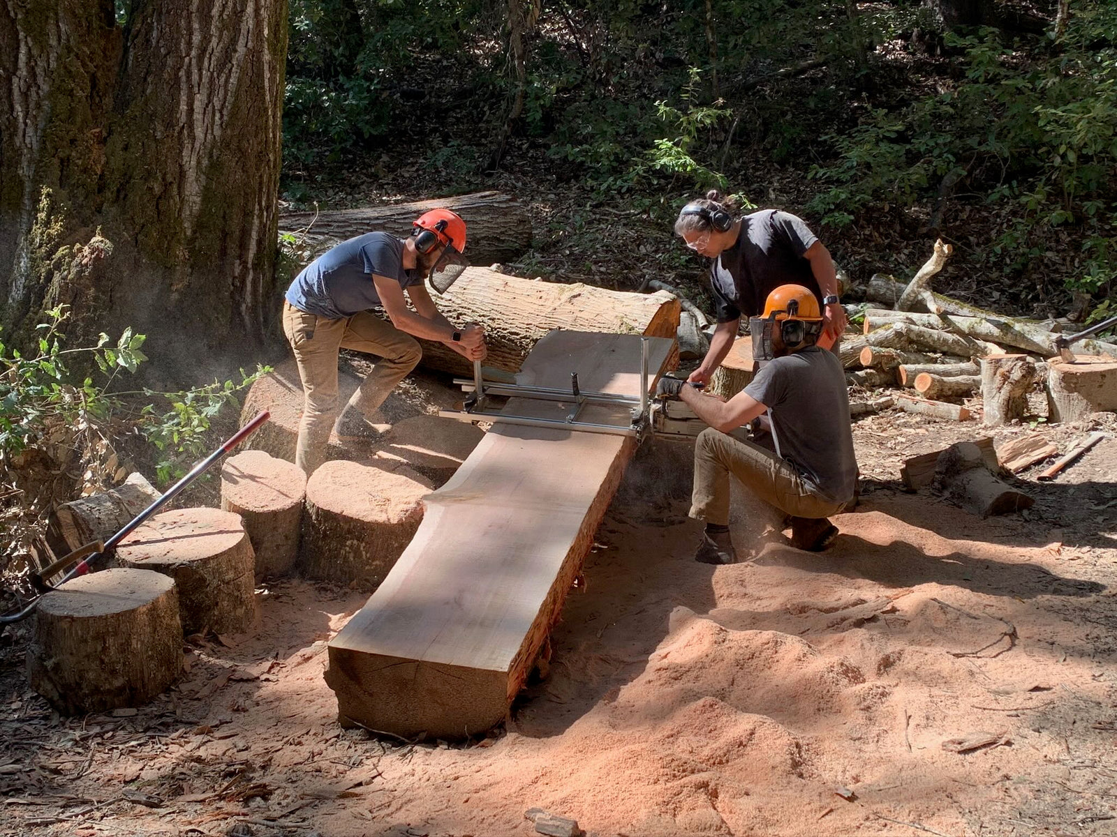 design | build – elevated spaces