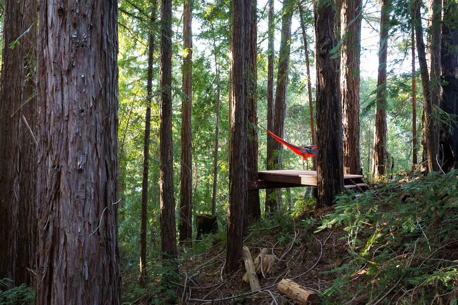 design | build – elevated spaces