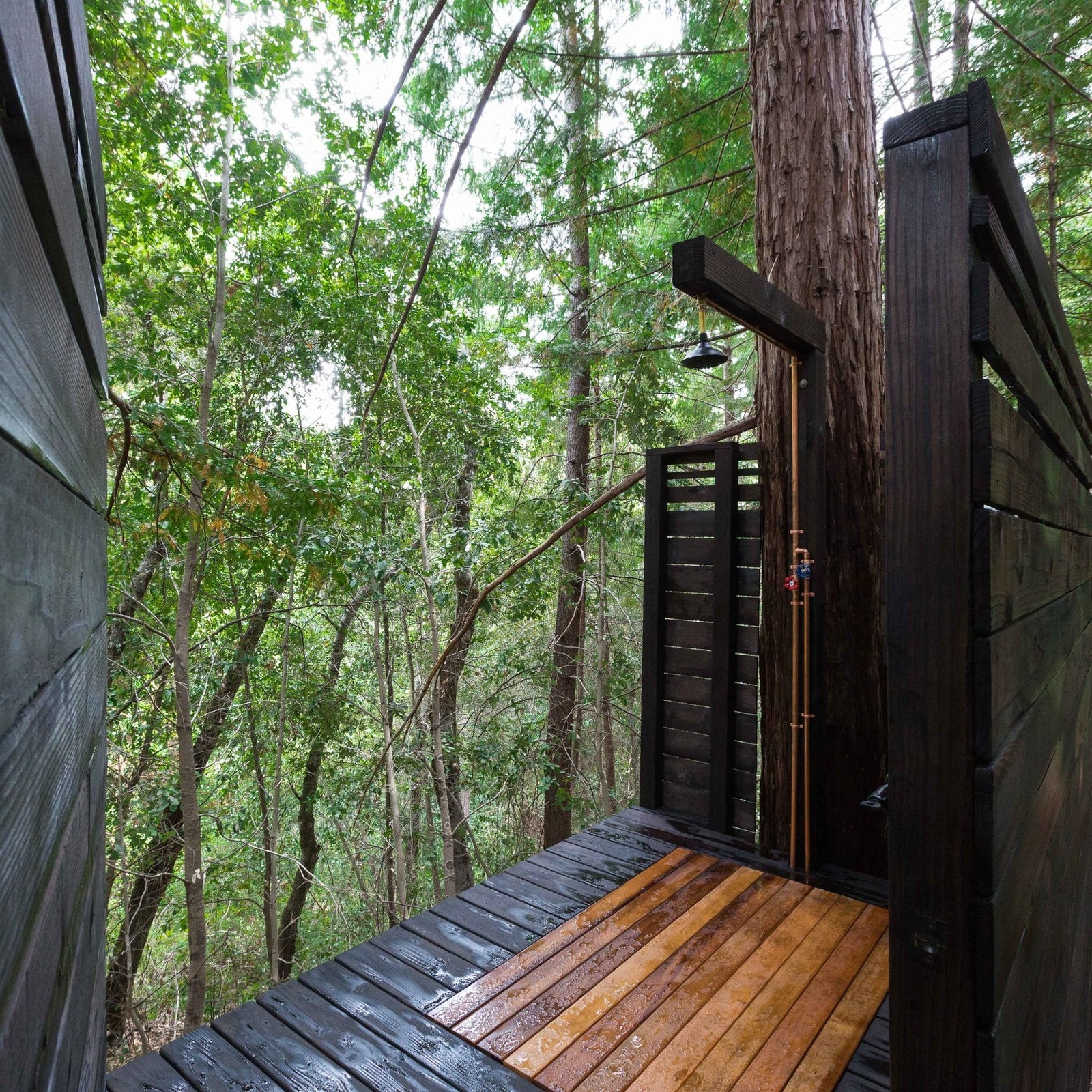 design | build – elevated spaces