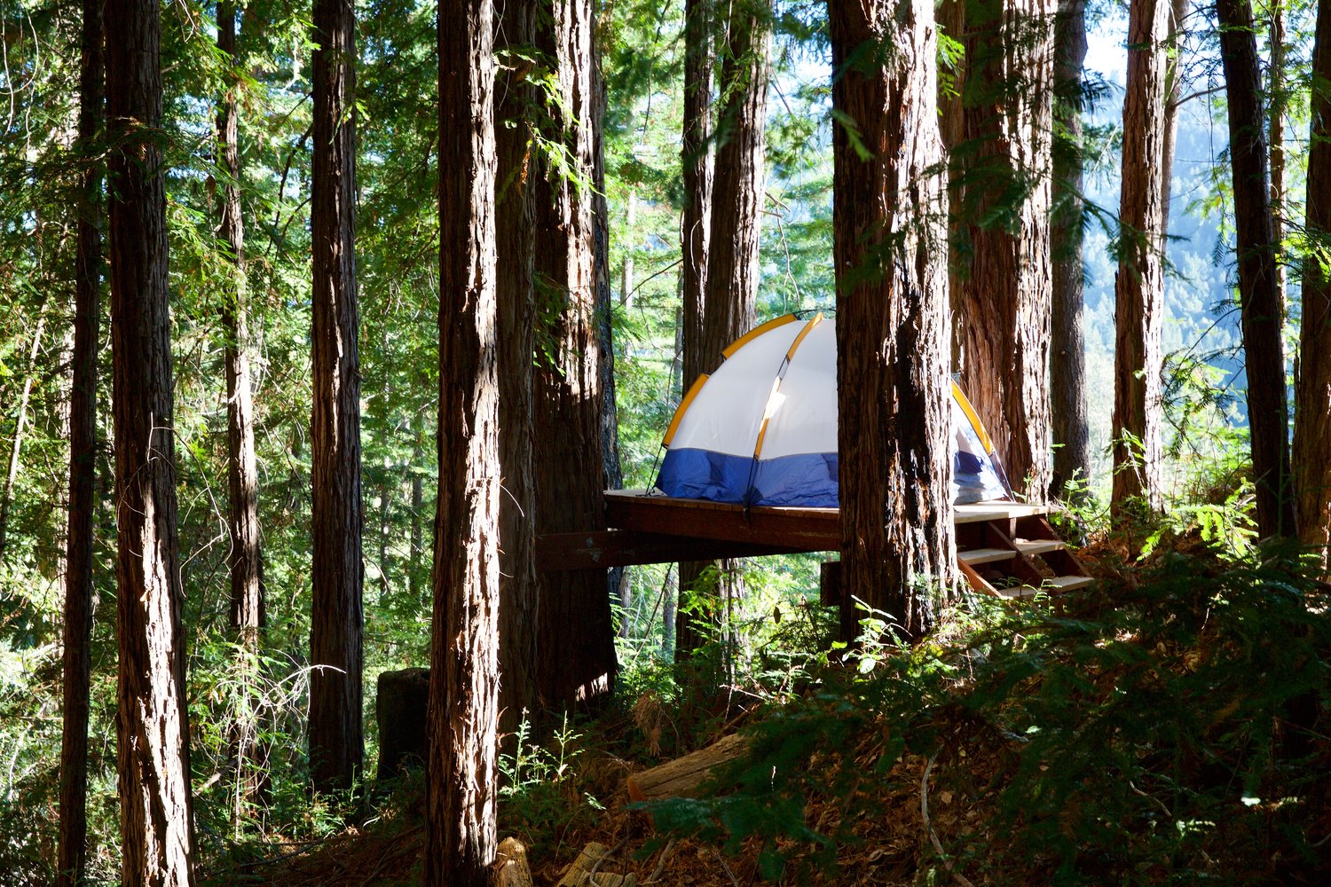 design | build – elevated spaces