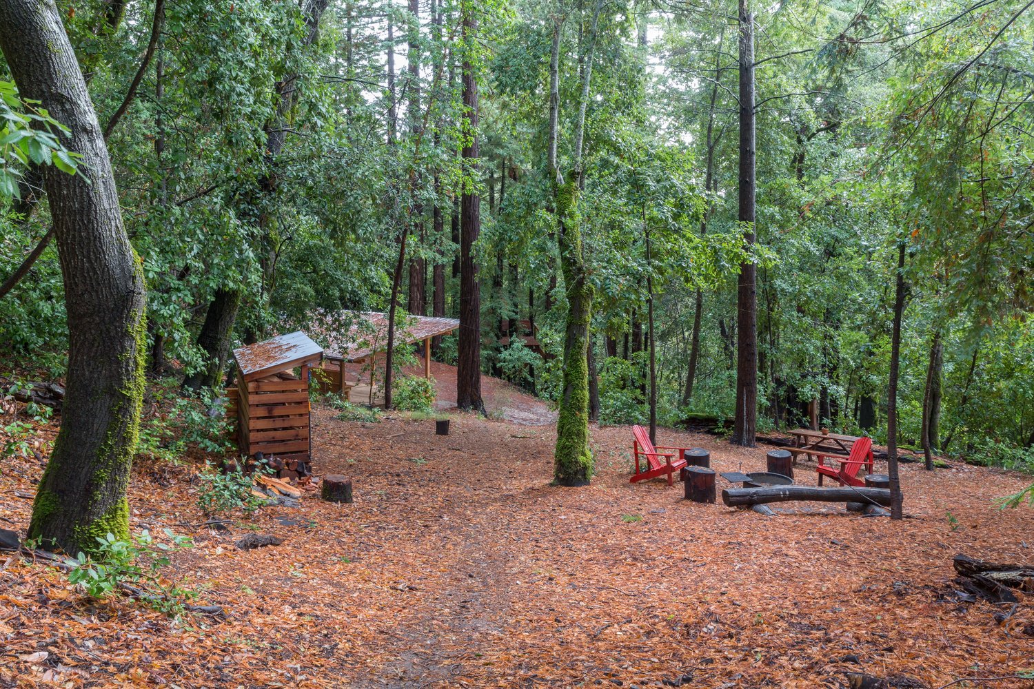 design | build – elevated spaces