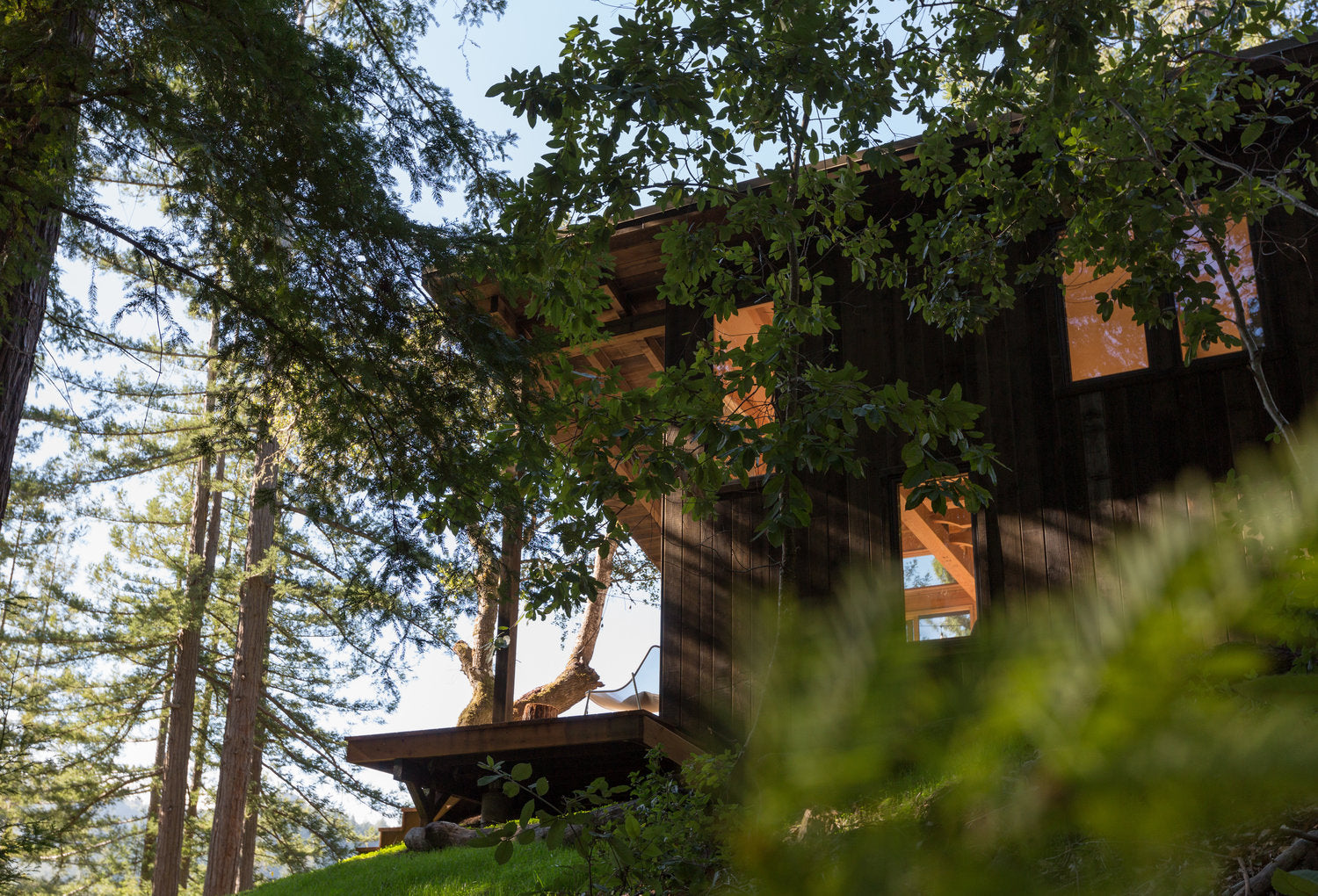 design | build – elevated spaces