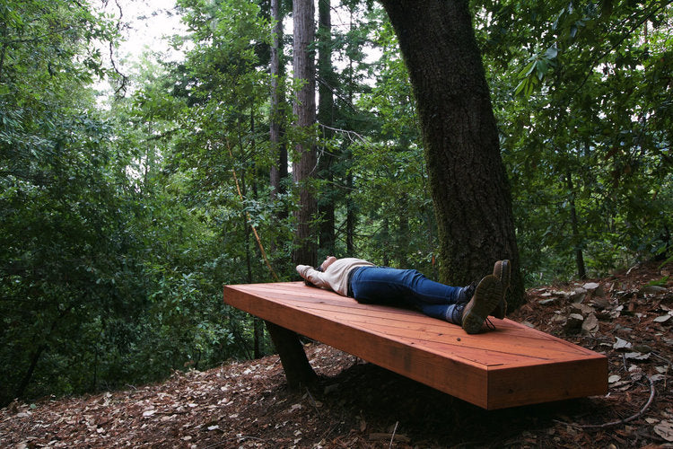 design | build – elevated spaces