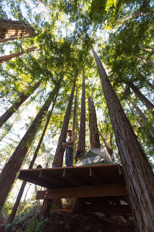 design | build – elevated spaces