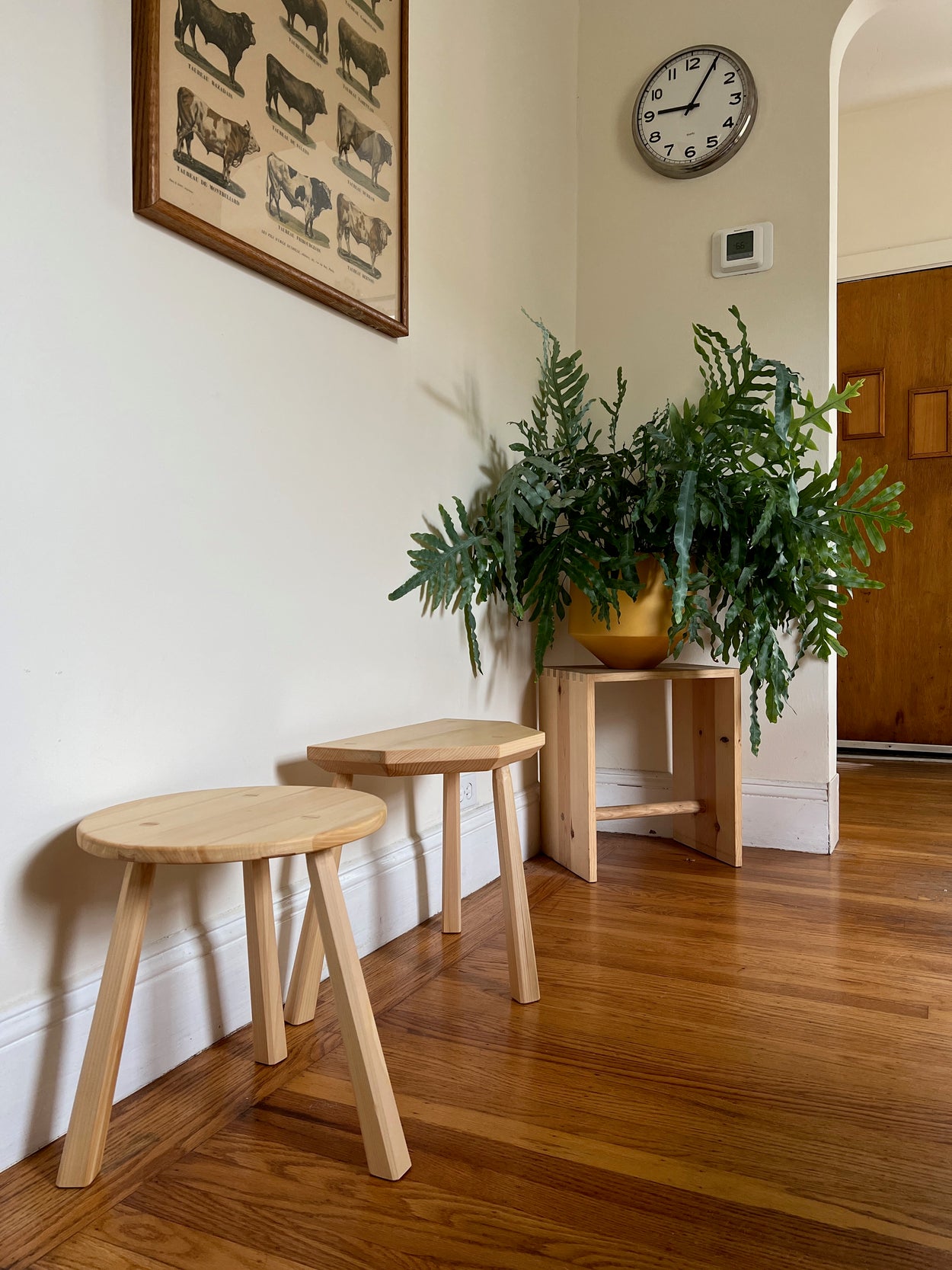 See the projects in action | Elevated Spaces – elevated spaces