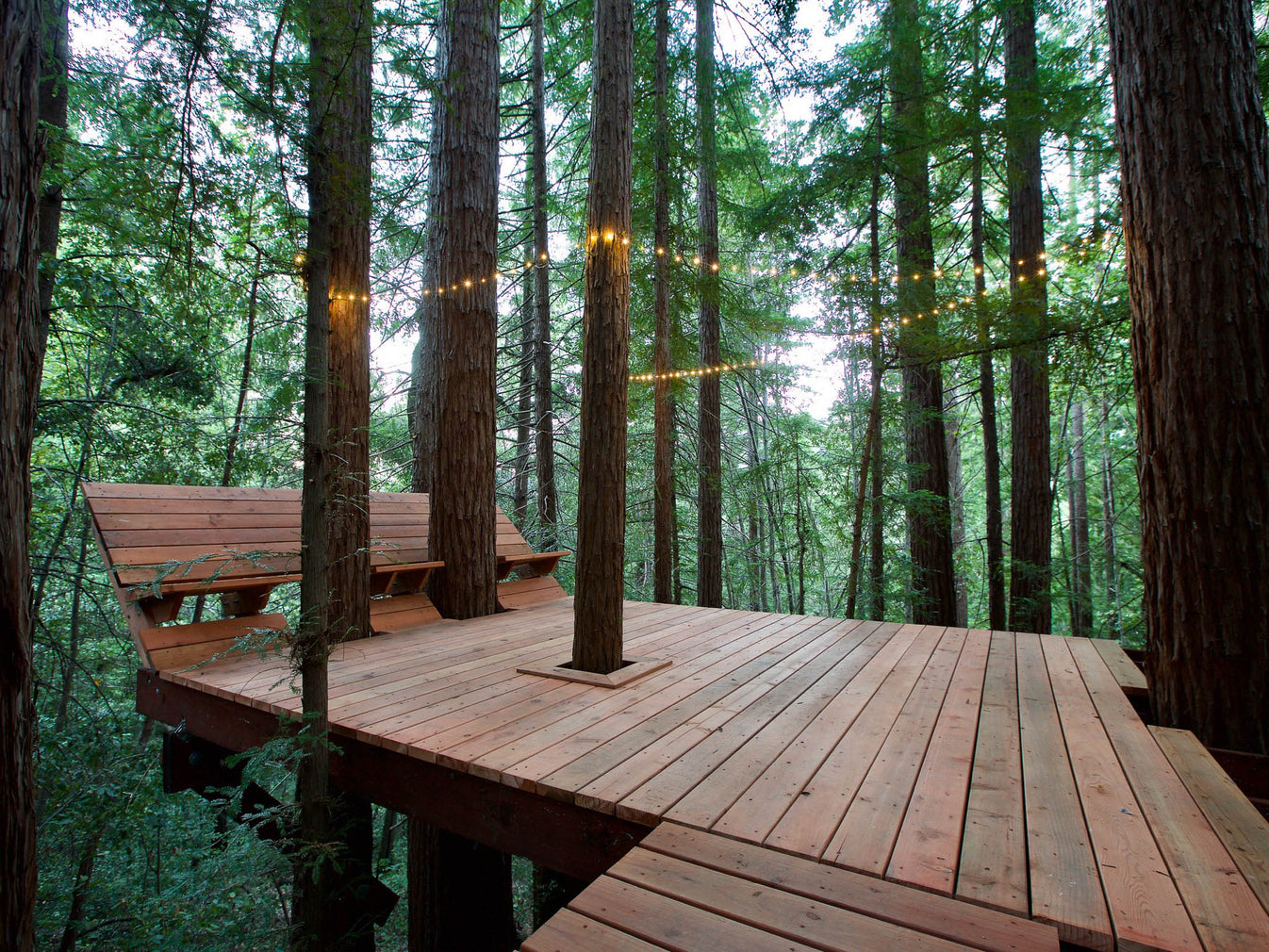 Tree Deck Plans – elevated spaces