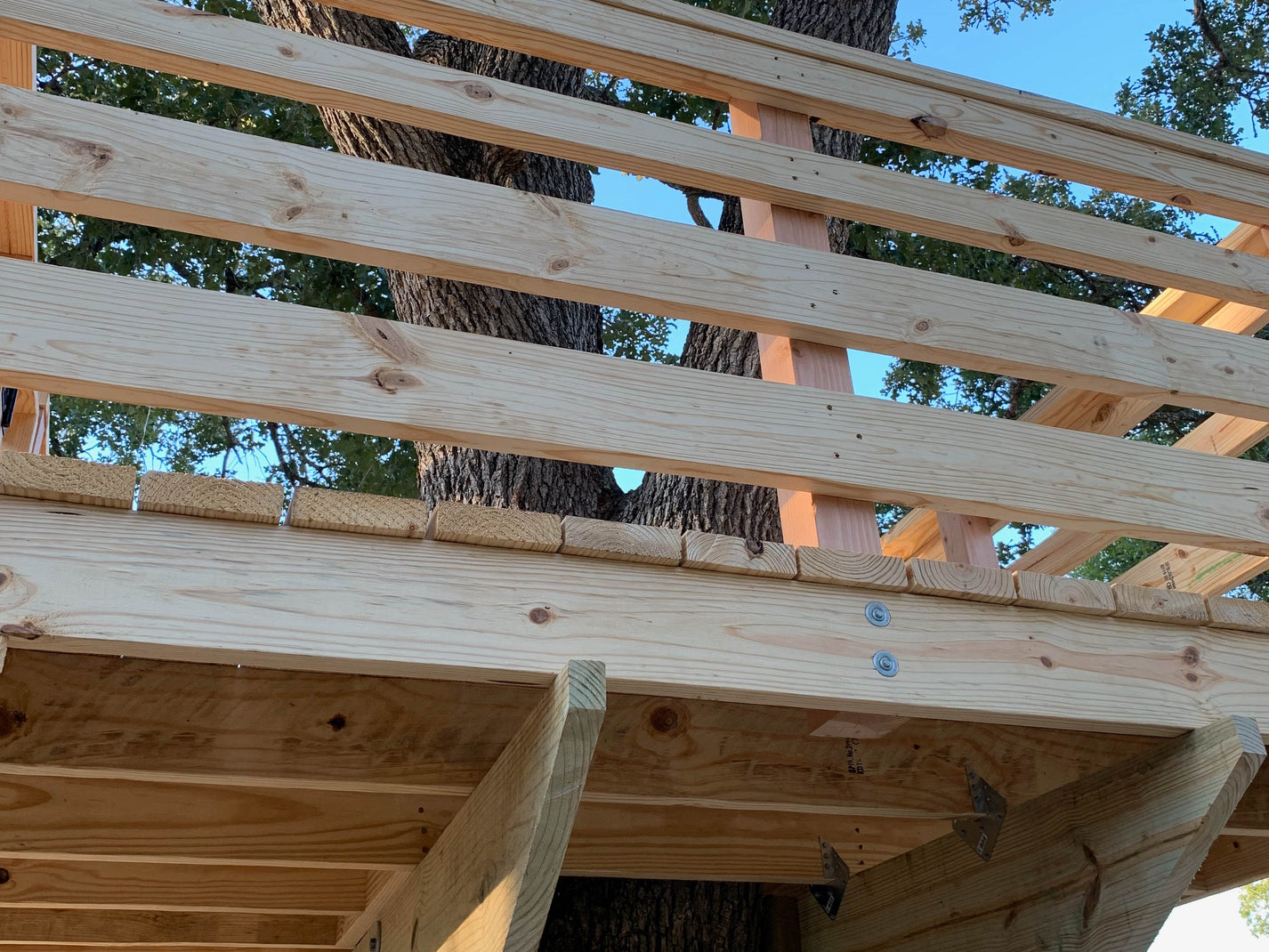 Tree Fort Plans – elevated spaces